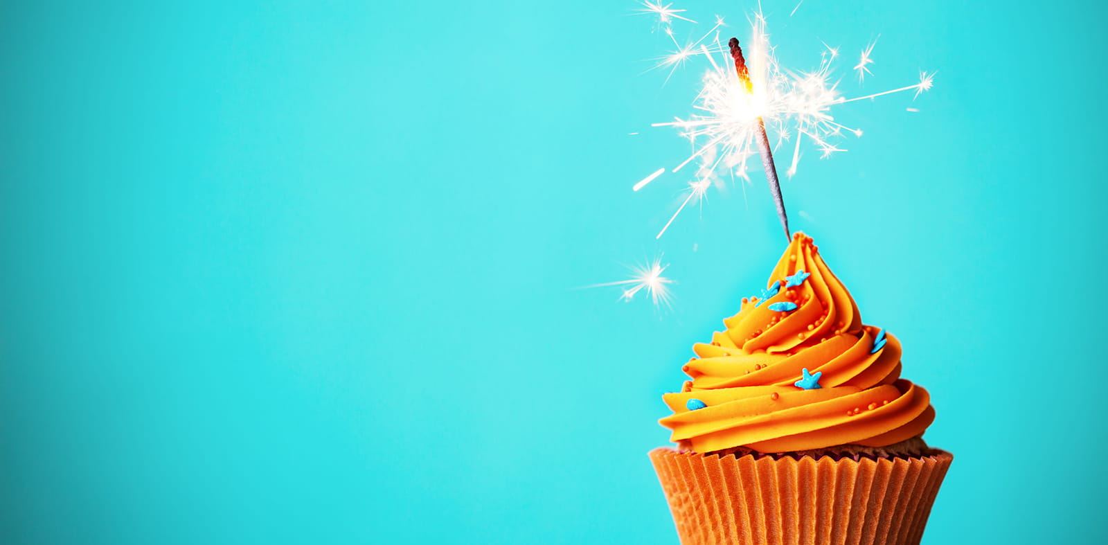 Celebrating 1 Year In Business Modmacro